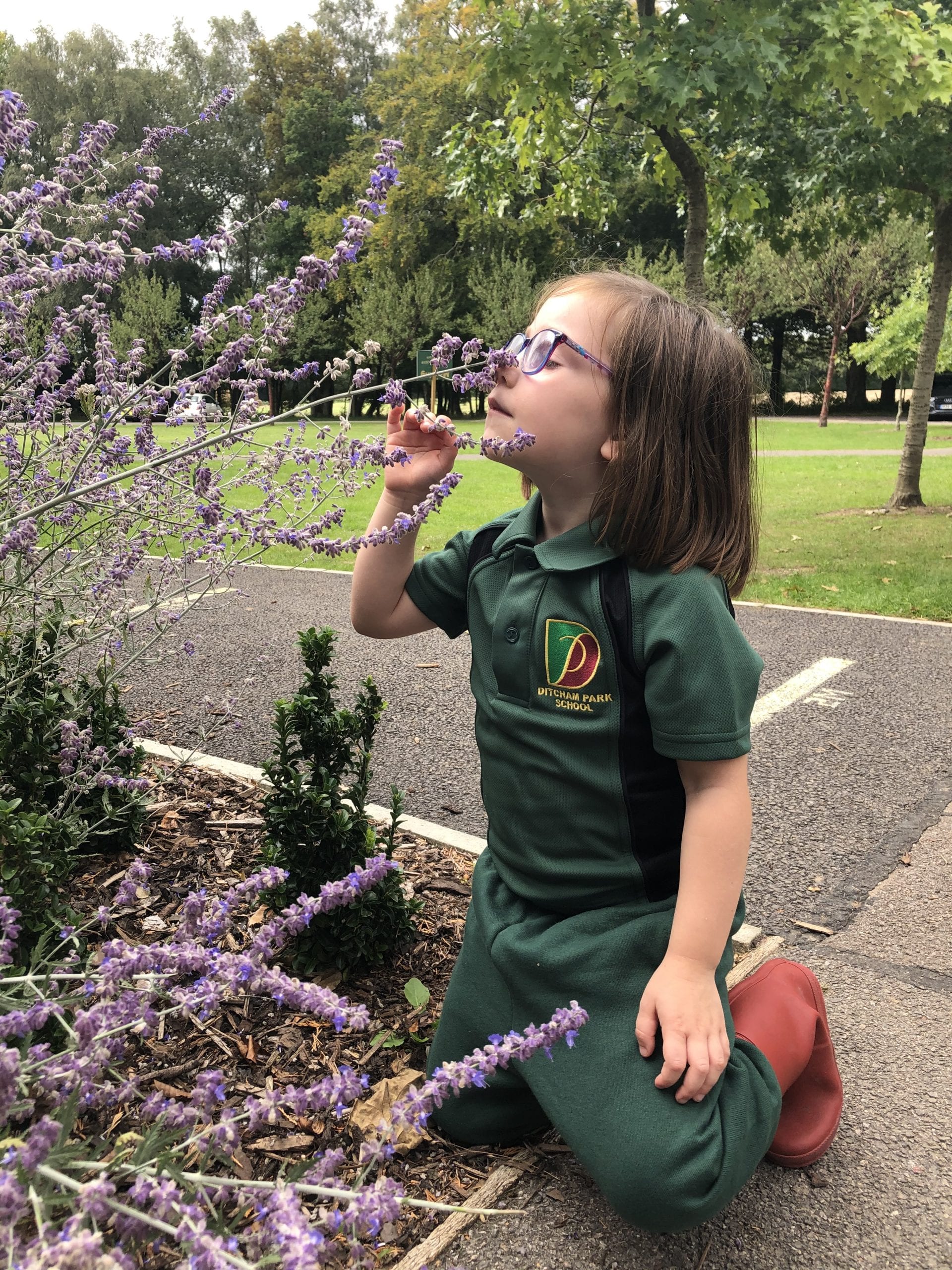 Virtual Open Evening February 2025 - Ditcham Park School