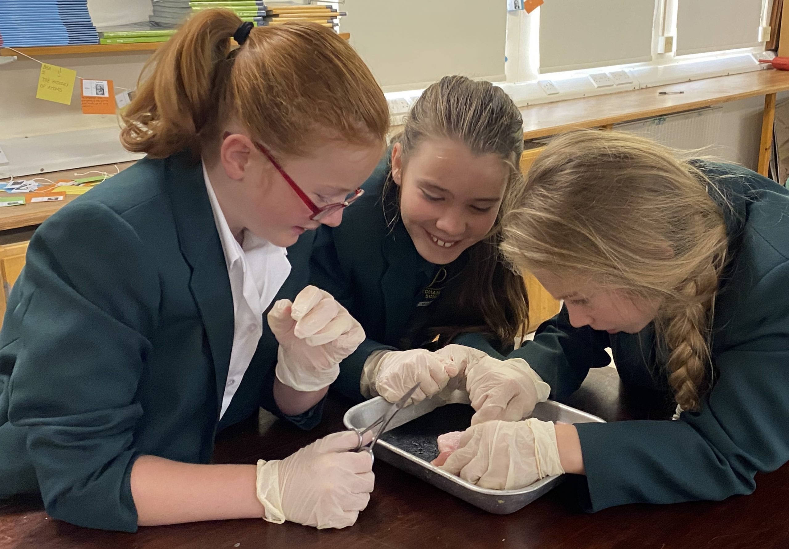 Virtual Open Evening February 2025 - Ditcham Park School